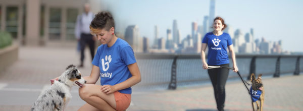 Dog Walking Jobs: Apply to become a Barkly Pets dog walker